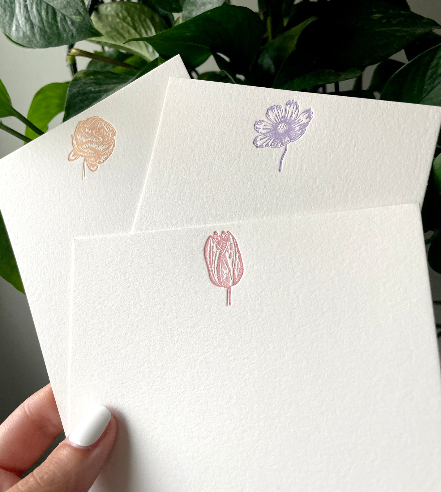 Tulip Flat Card Letterpress Floral Pack – Rust Belt Love